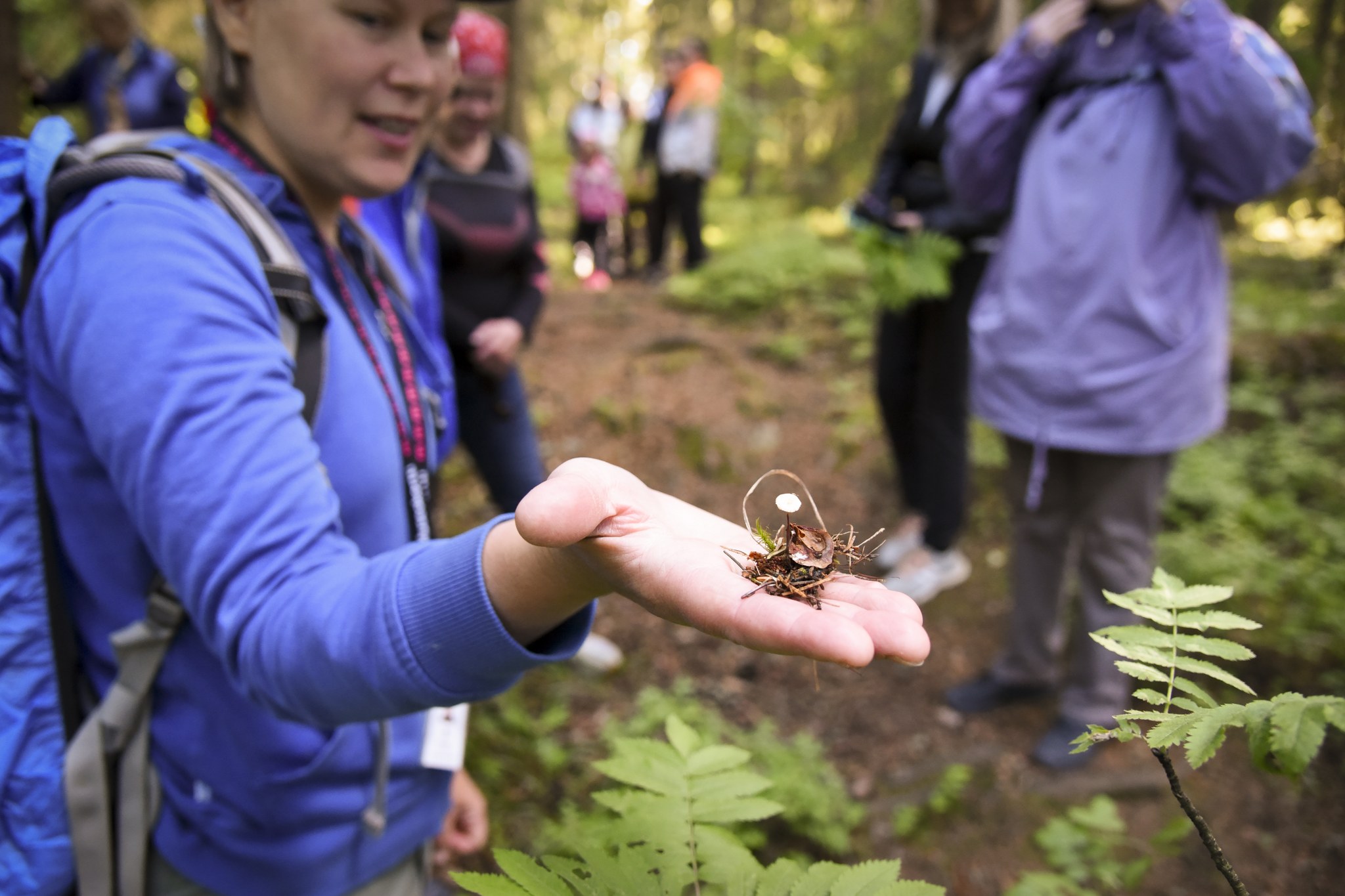 Nature excursions - Kuopio