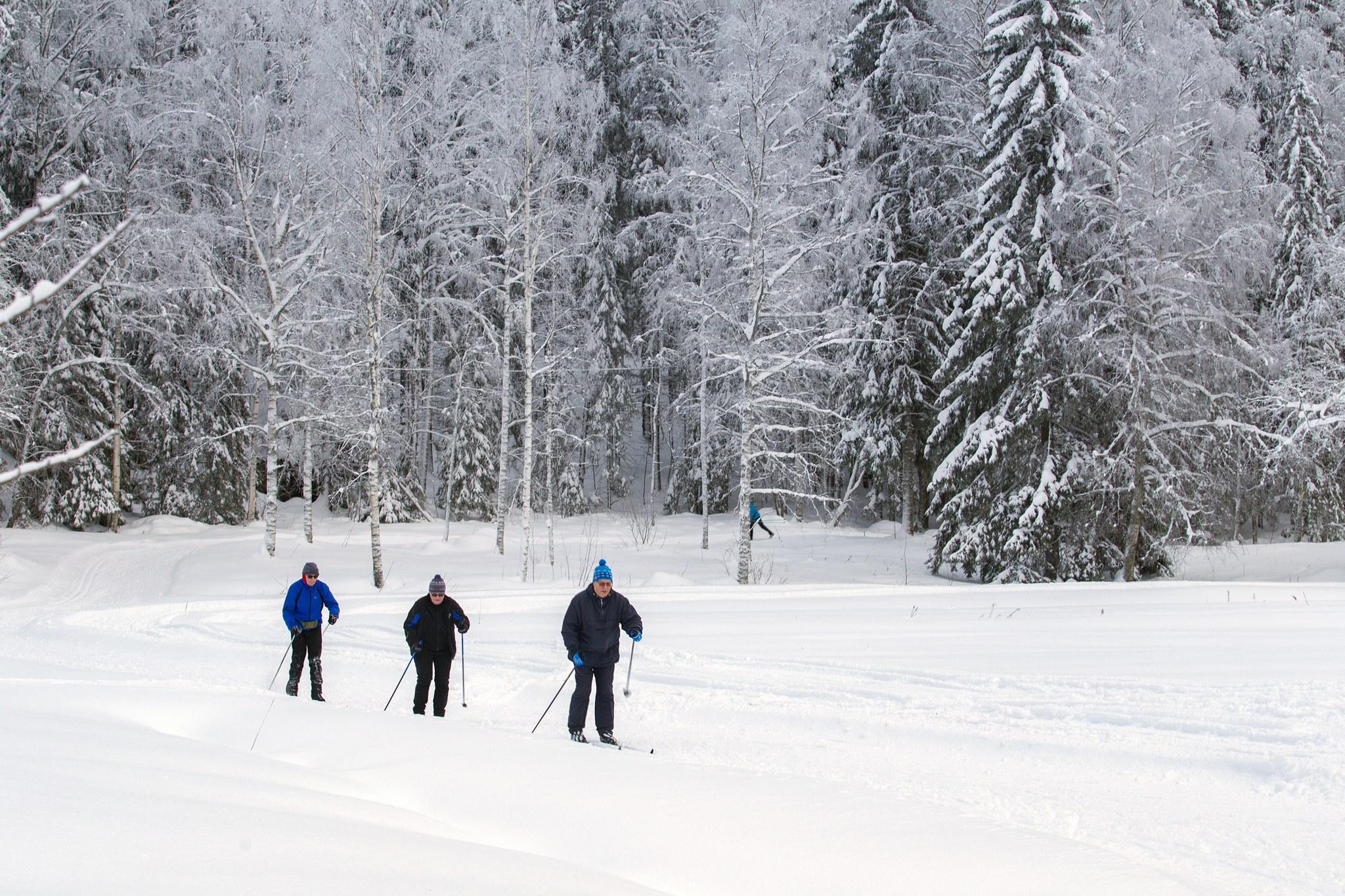 Cross-country skiing parks - Kuopio