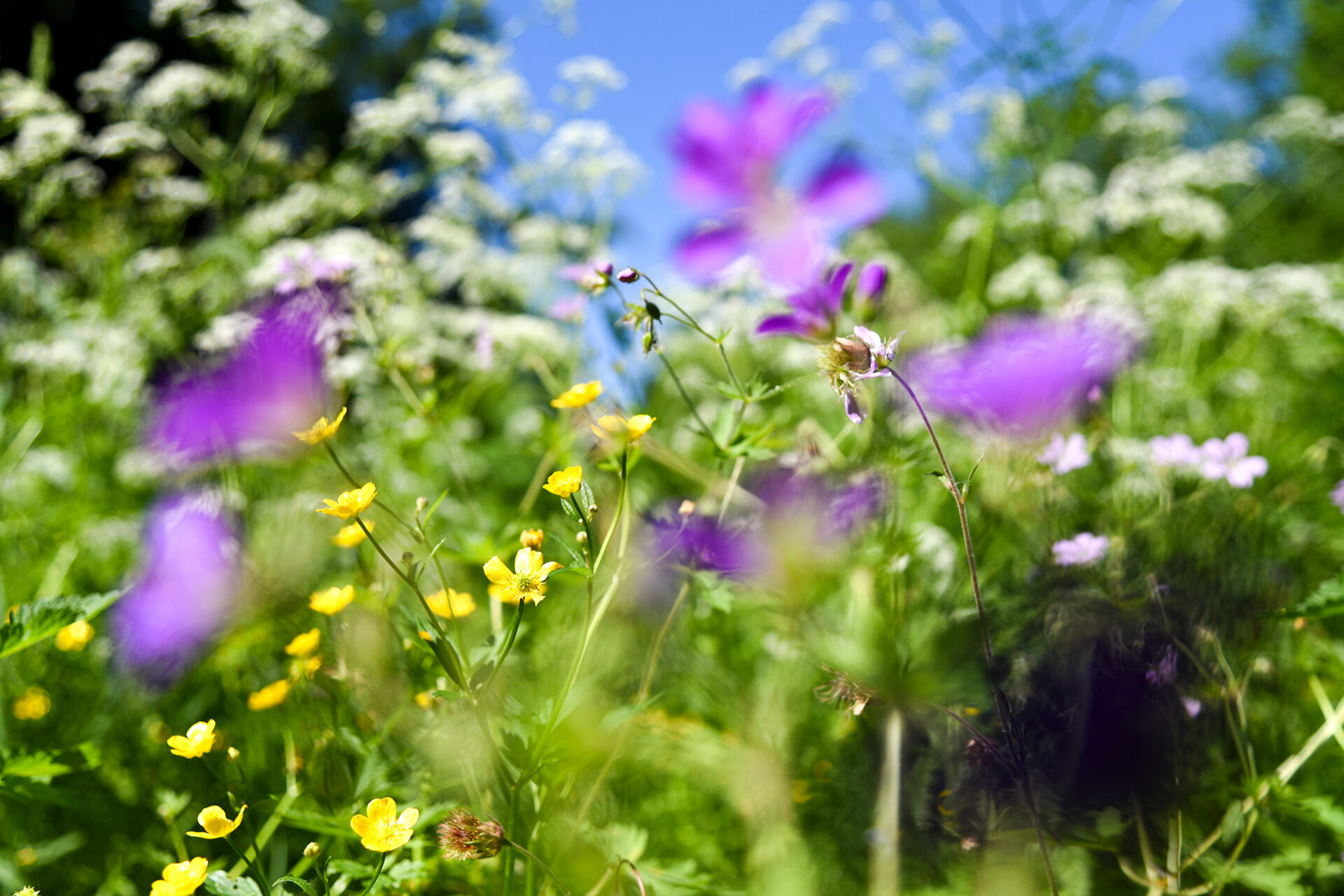 Esiopetuksen toimintapäivät - Kuopio