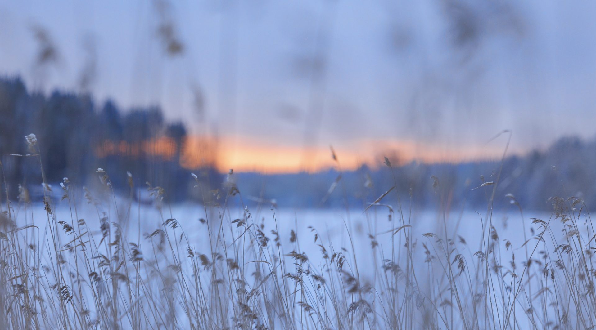 Kuopion Vesi Oy:n toimittaman talousveden laatu - Kuopio
