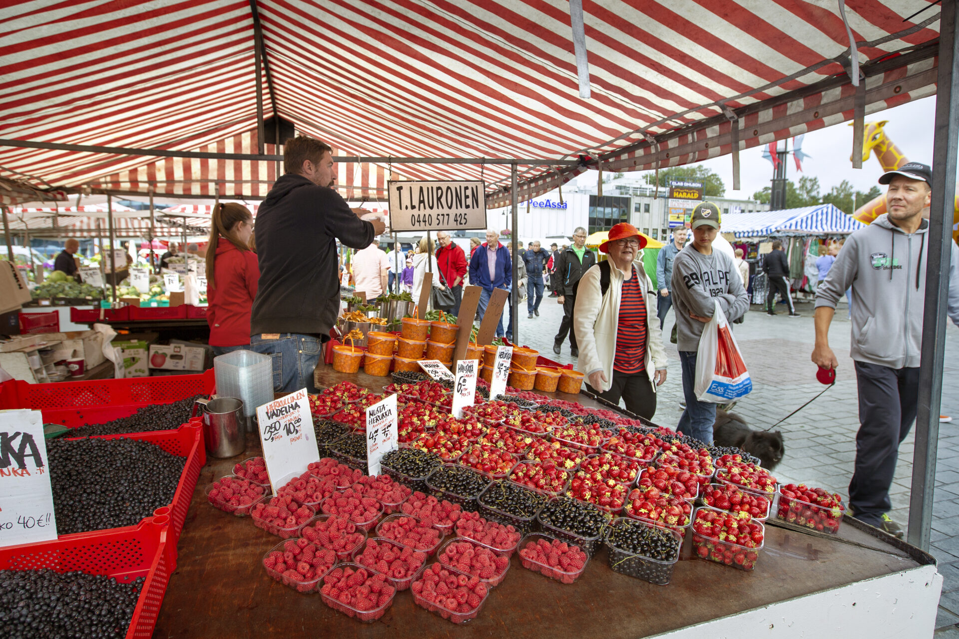 Market square and harbour market - Kuopio