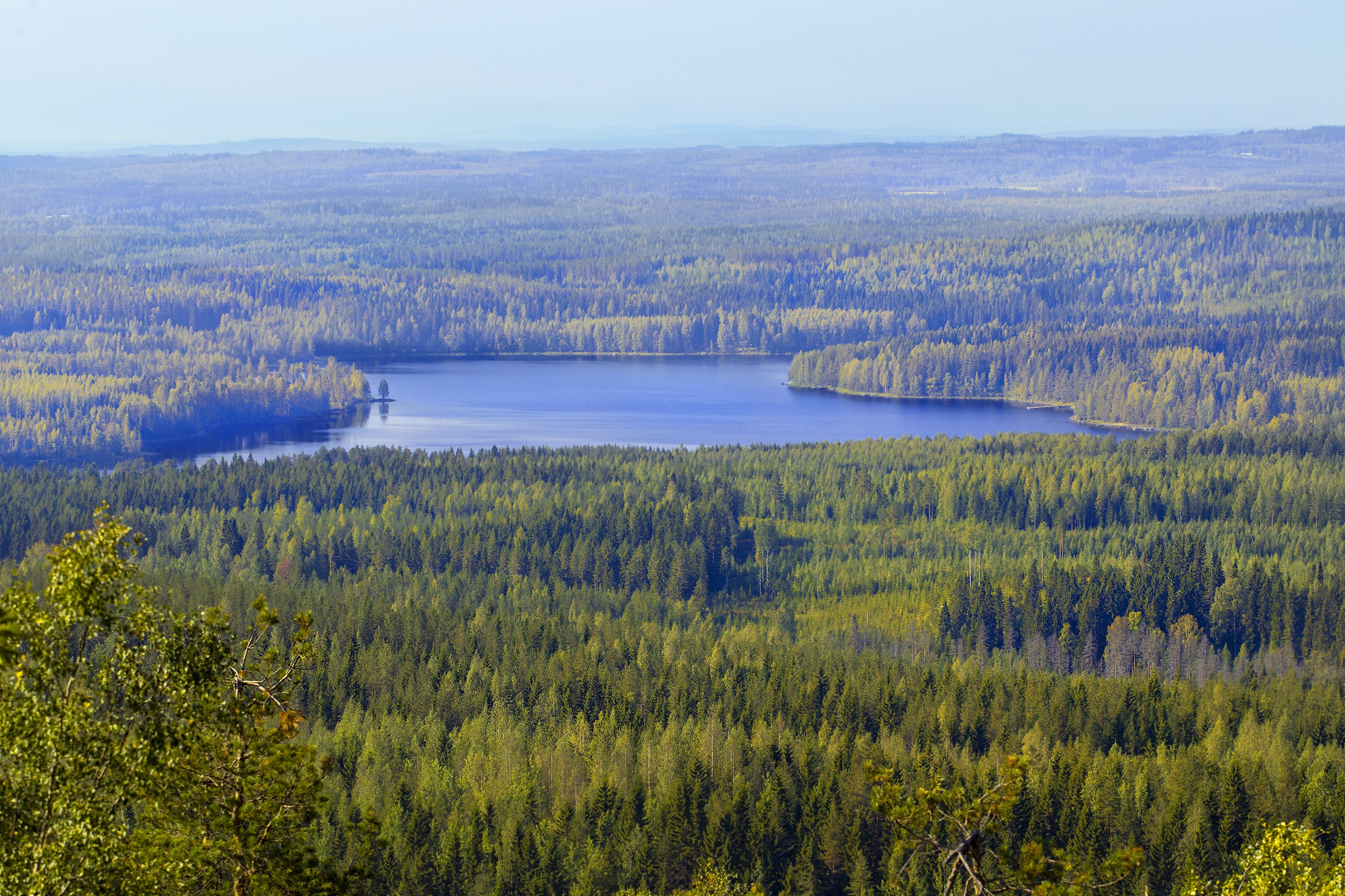 Monikäyttöiset metsät - Kuopio