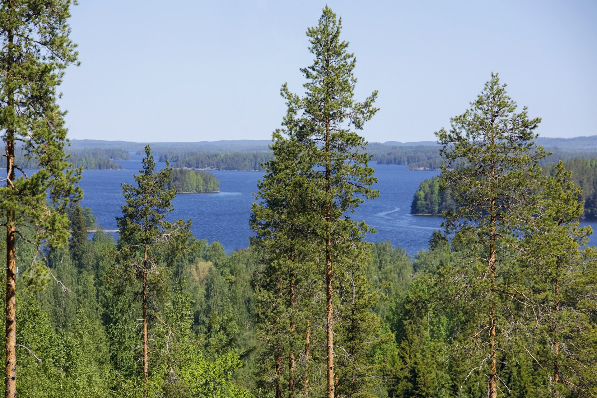 Saaristoluonto täynnä elämyksiä - Kuopio