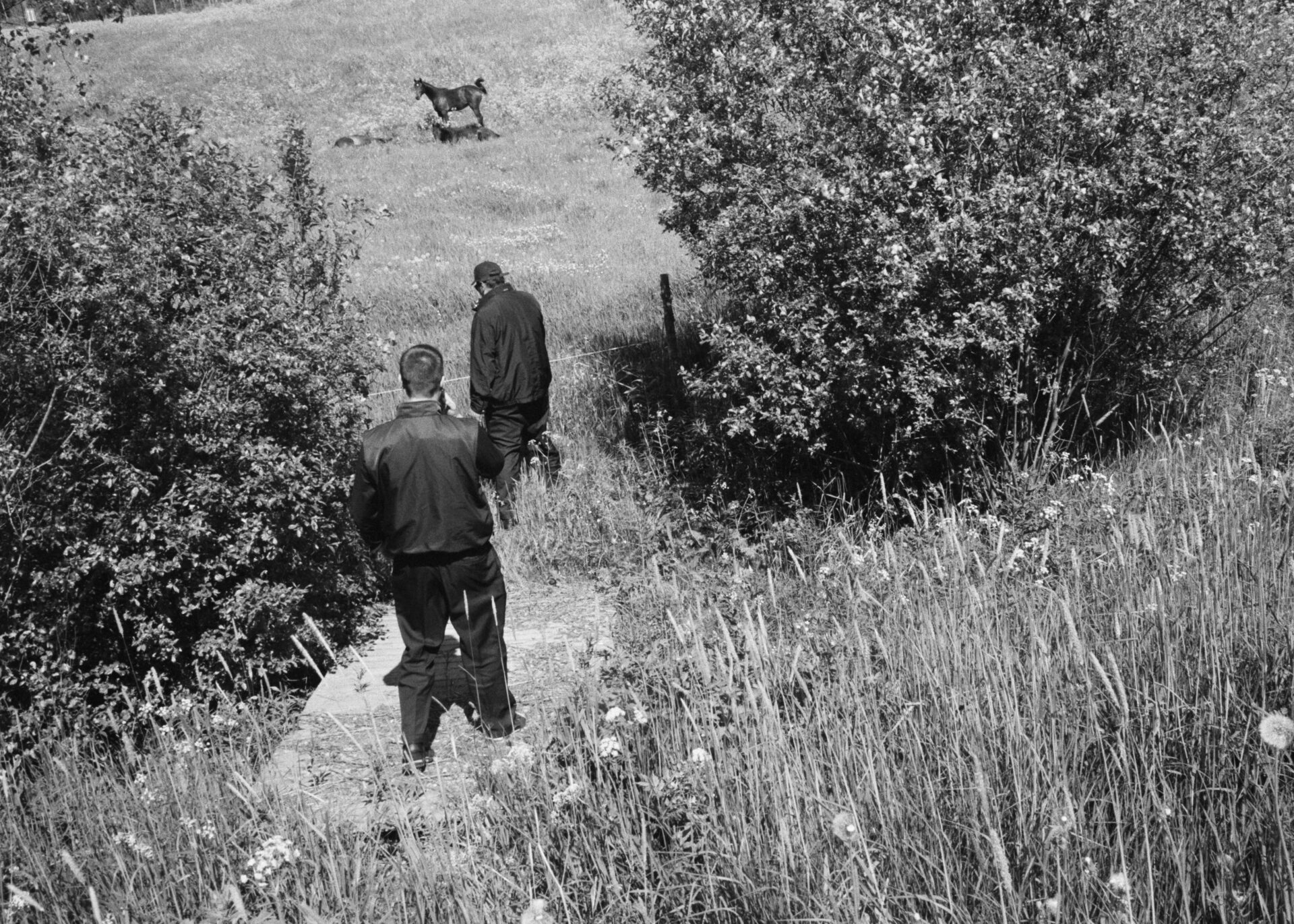 Syksyn näyttelyt - Kuopion kulttuurihistoriallinen museo - Kuopio