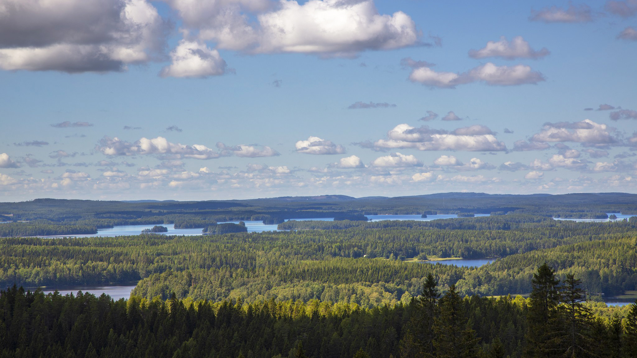 Puijon retkeilyalueelta ja Pilpan P-alueelta poistetaan puita 17. ja 19 ...