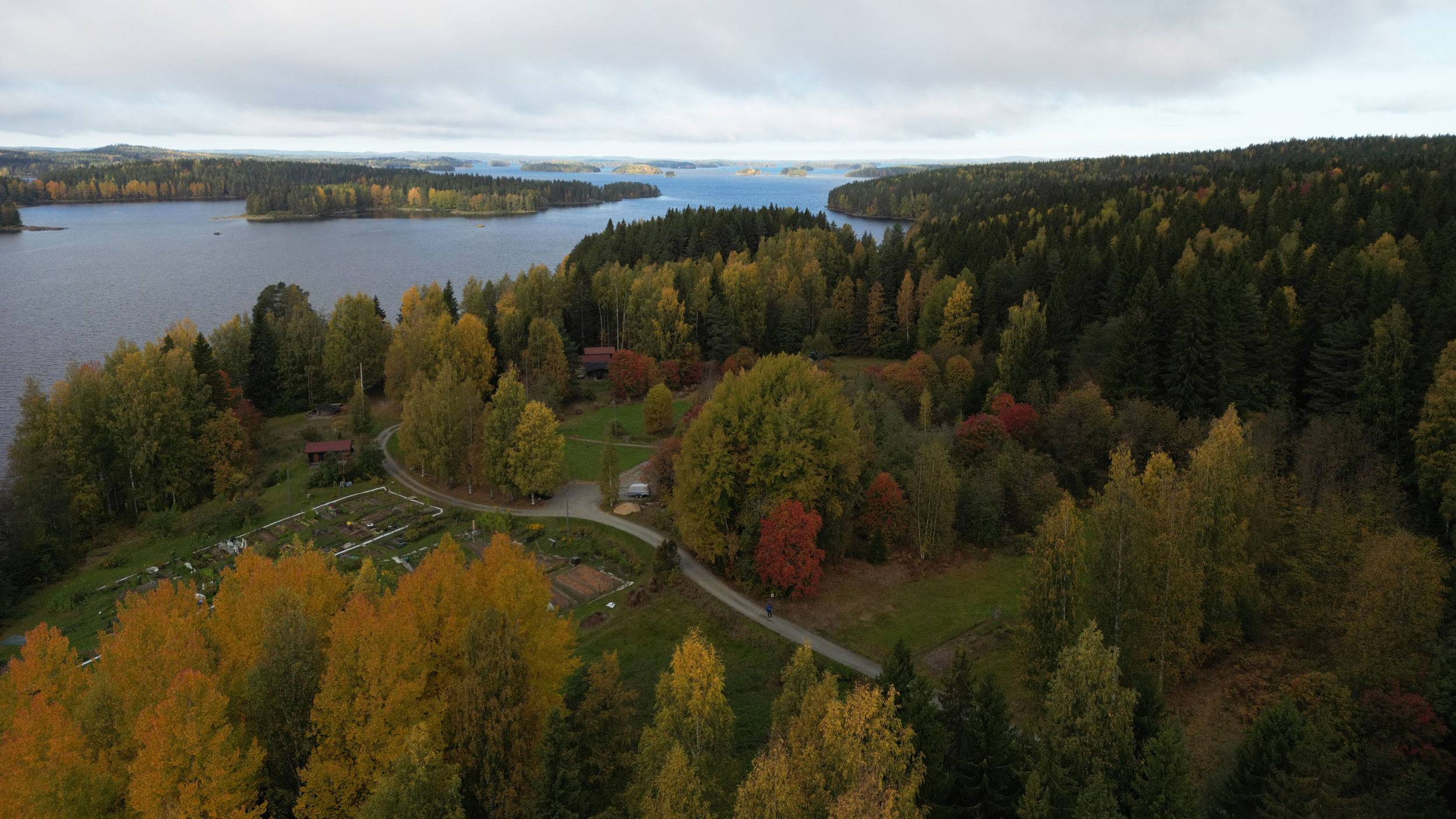 Metsänhoitajan matkassa: Pölyttäjien elinympäristöjen kunnostus Pilpan ...