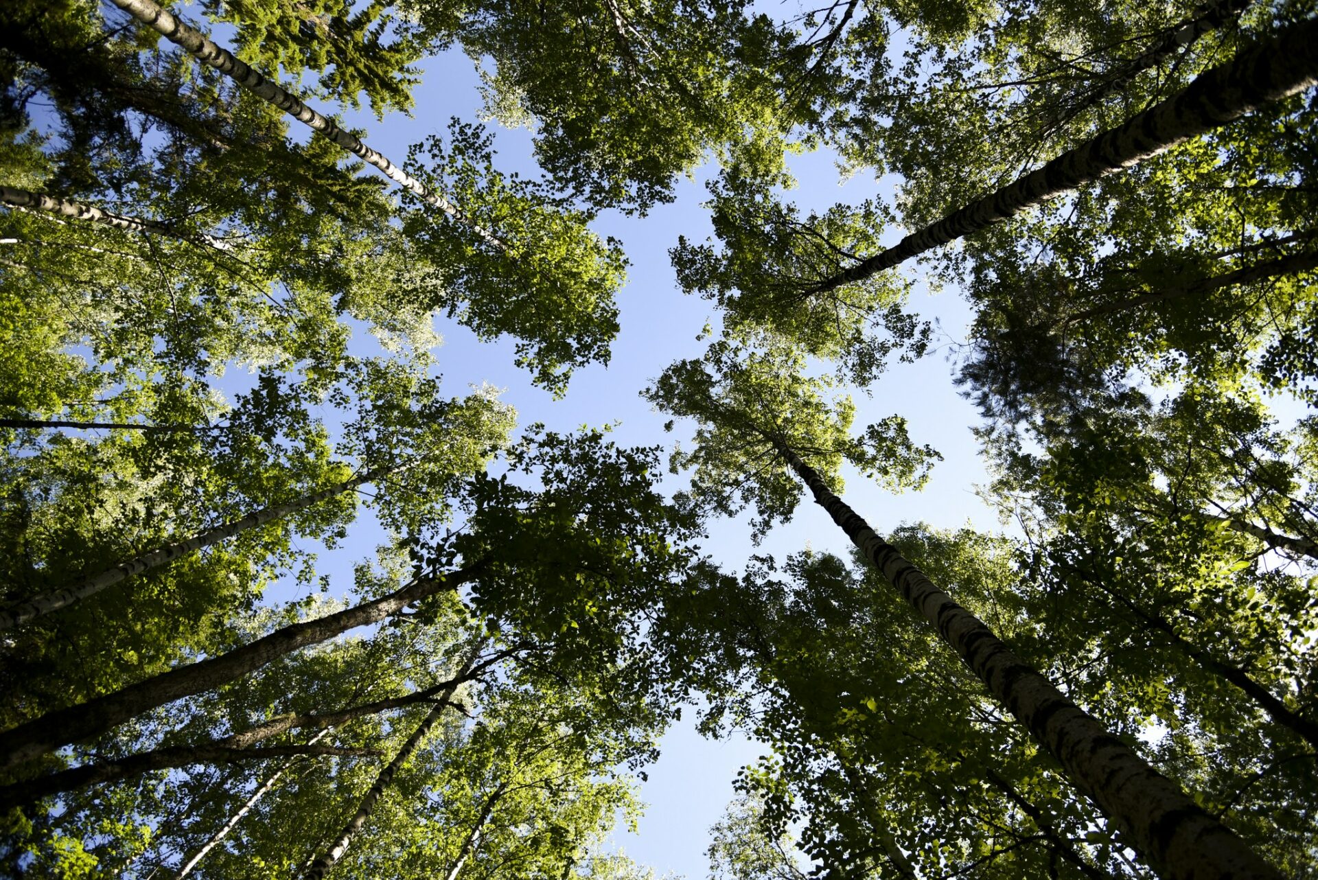 FinVector avasi uuden tuotantolaitoksen Savilahteen – Kuopion kaupunki ...